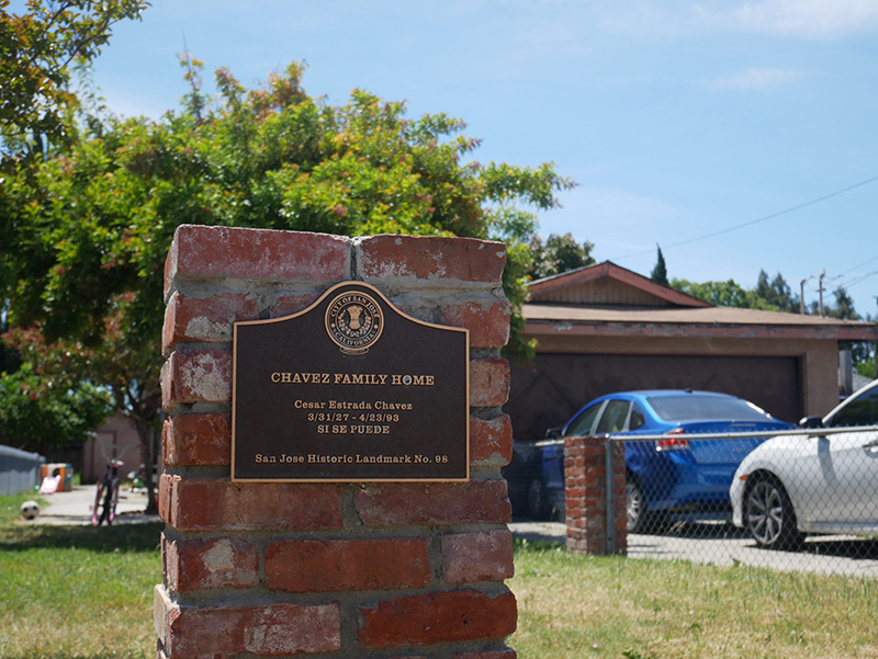 Cesar Chavez Family Tree